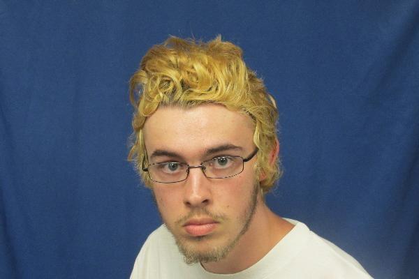 View Offender - Aaron Solomon Long - Blount County Sheriff AL