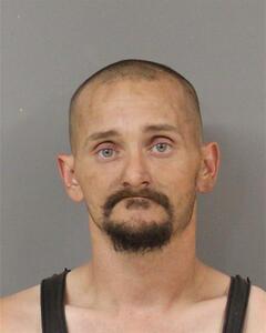 Inmate Roster - Released Inmates Booking Date Ascending - Blount County ...