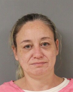 Inmate Roster - Page 2 Current Inmates Booking Date Descending - Blount ...