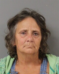 Inmate Roster - Page 2 Current Inmates Booking Date Descending - Blount ...