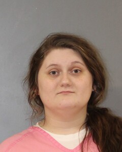 Inmate Roster - Released Inmates Booking Date Descending - Blount ...